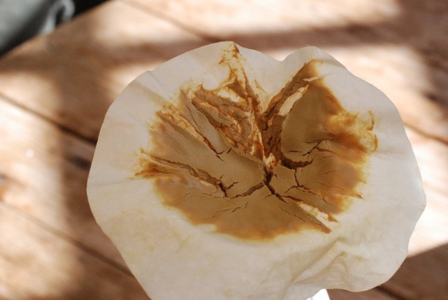 Harmalas Extraction and Separation Guide - DMT-Nexus Wiki