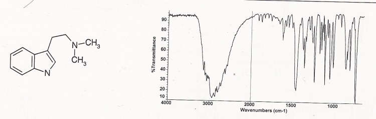 Category:DMT - DMT-Nexus Wiki